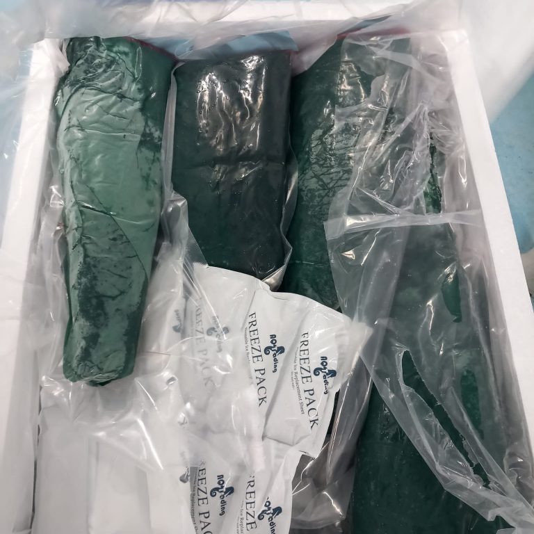 Wasabi Papers – Green (500 Pack) – Gel Ice